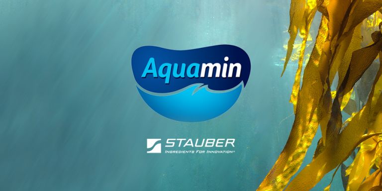 Ingredient Spotlight: Aquamin™ – Lief Labs