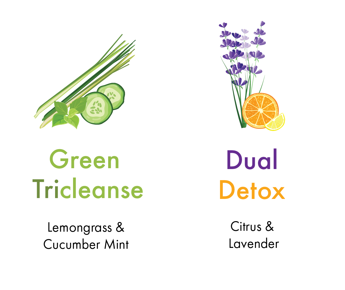 Product Spotlight: Full Body Detox – Lief Labs