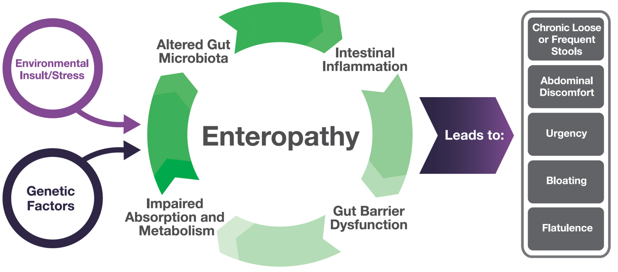 Ingredient Spotlight: ImmunoLin® – Lief Labs